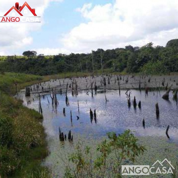 Terreno em Ambaca - Angocasa