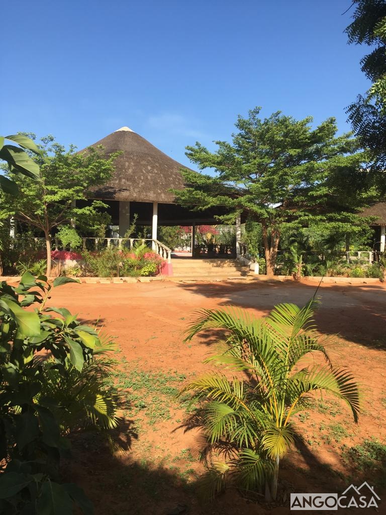 Outro em Ramiro (Benfica) - Angocasa