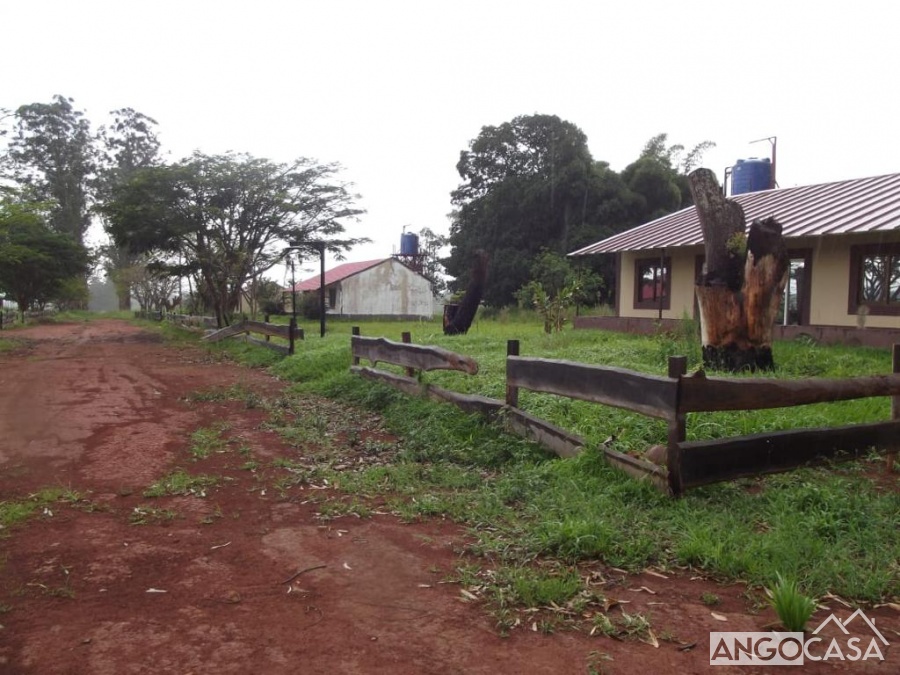 Quinta em Ambaca (Kwanza Norte) - Angocasa