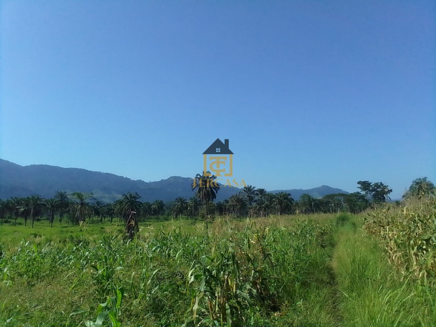 Quinta em Kwanza Sul, município da Gabela - Angocasa