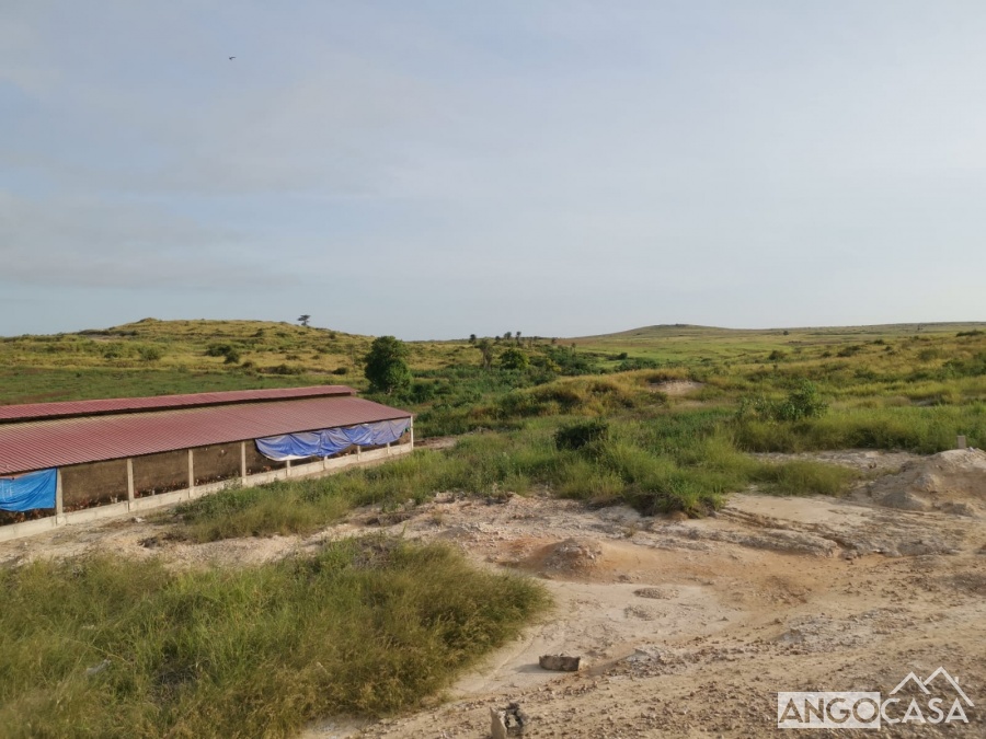 Quinta em Panguila (Bengo) - Angocasa