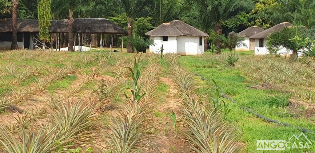 Quinta em Zango III - Angocasa