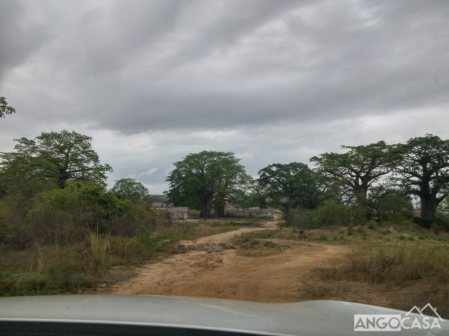 Terreno em Mazozo, Bom Jesus (Ícolo e Bengo) - Angocasa